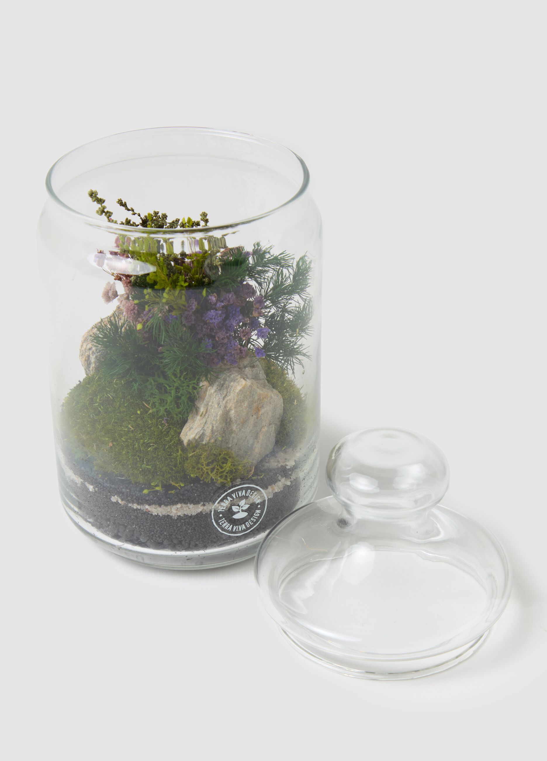 Evergreen Byron XS Terrarium Vert forêt TERRAVIVA DESIGN pour label ...